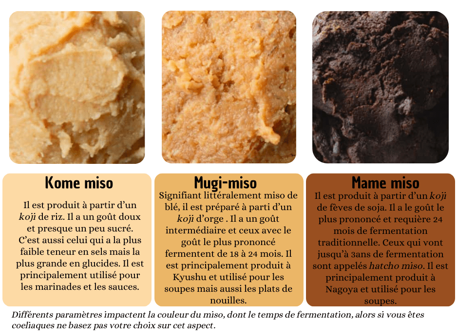 Le miso: c’est quoi ? – Le goût du monde sans gluten